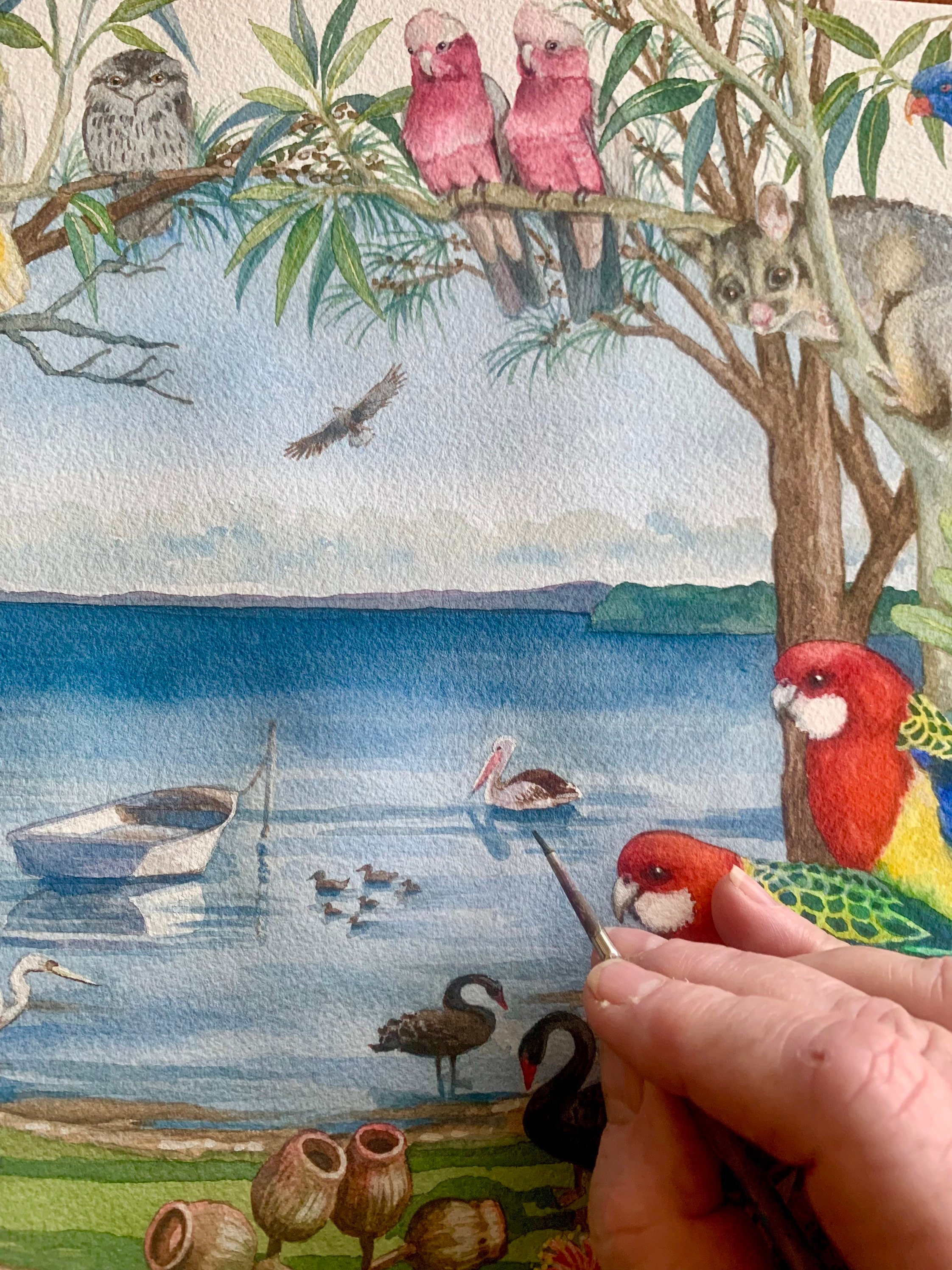 Tuggerah Lakes Scene by Debra Meier Art, Australian Natives Print ...