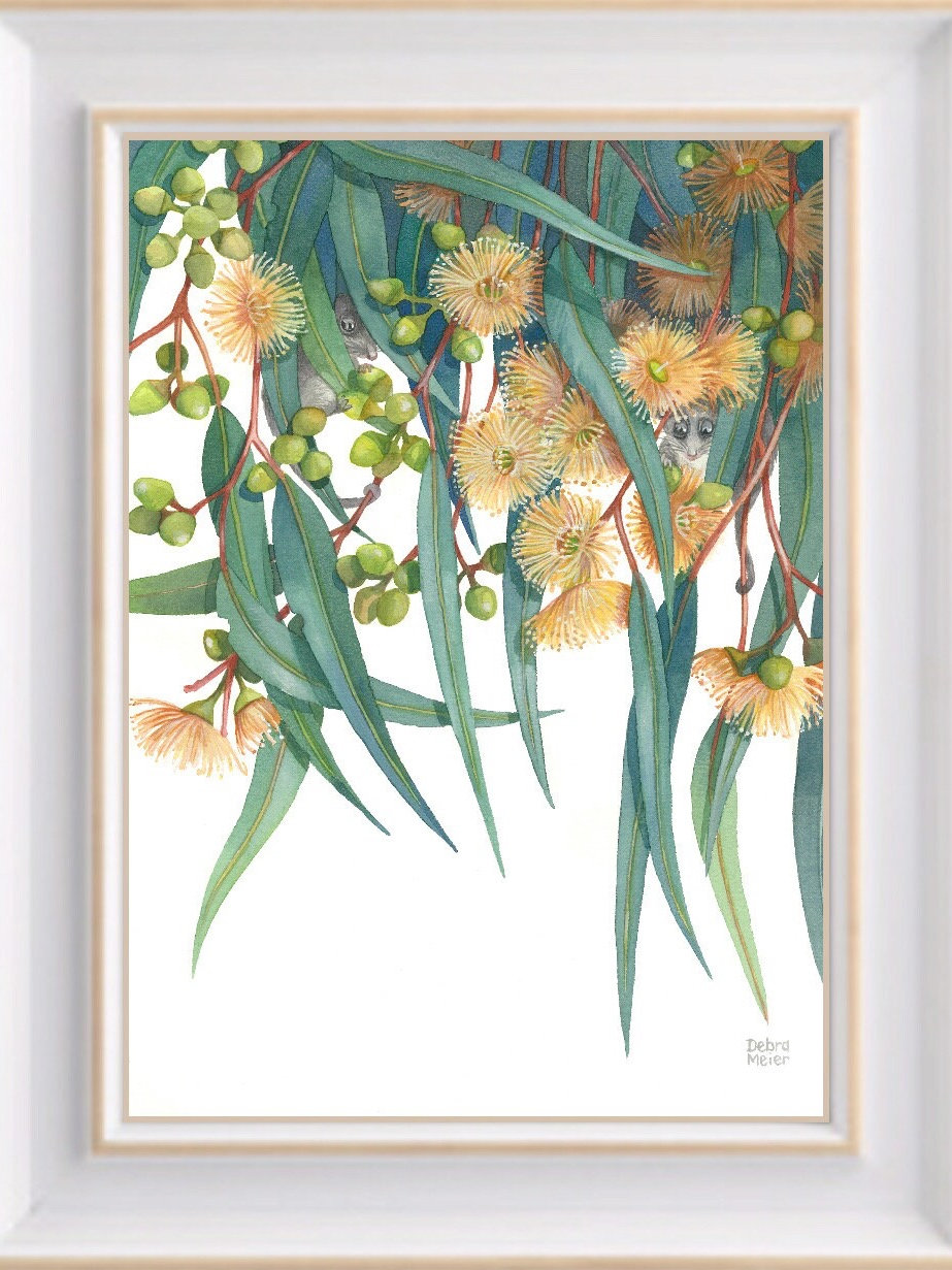 Gumblossoms Peachy Print, Australian Native Print, Gumblossom Print ...