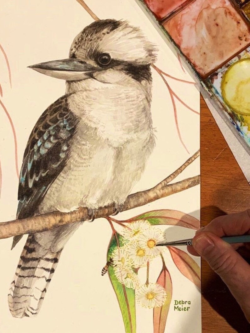 Kookaburra by Debra Meier Art, Native Bird Watercolour, Australian Bird ...