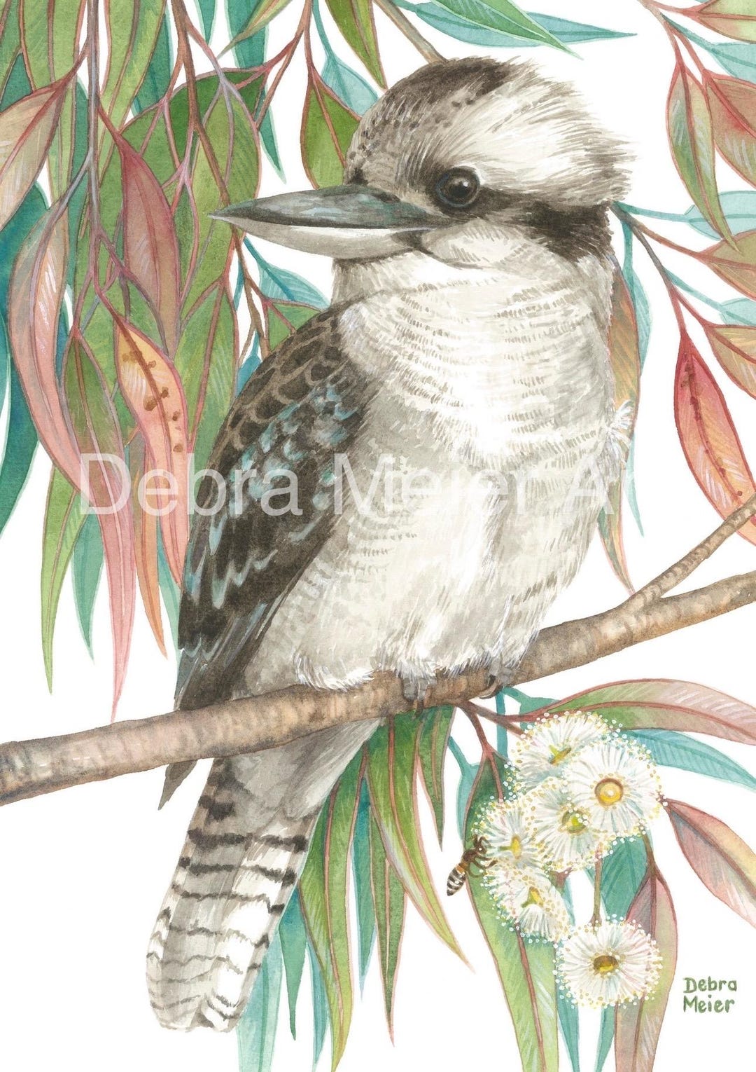 Kookaburra by Debra Meier Art, Native Bird Watercolour, Australian Bird ...