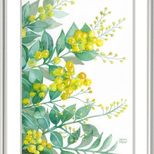 Australian Wattle Wattle Wall Art Australian Native Art - Etsy
