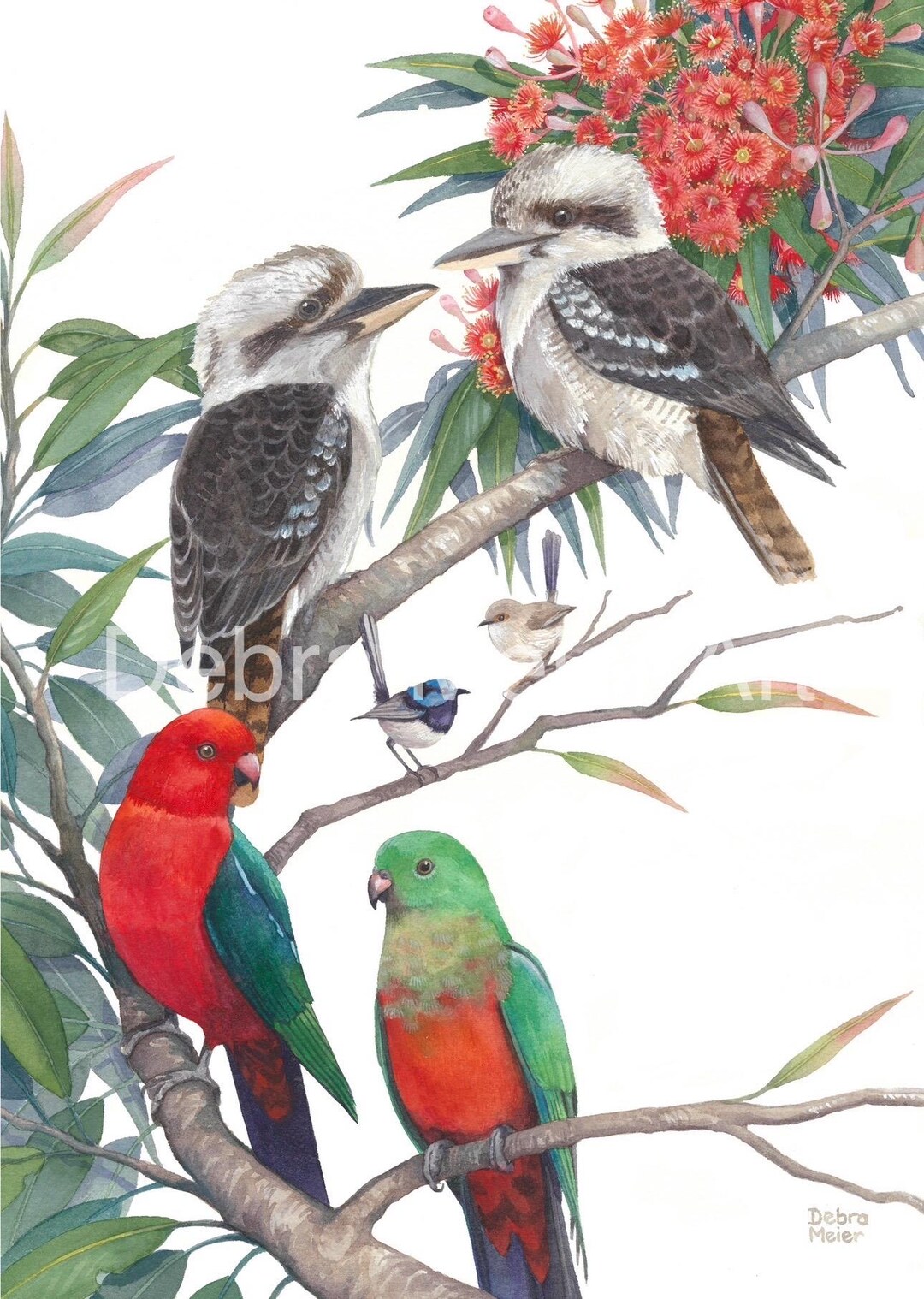 Kookaburra, King Parrots and Fairy Wrens Print by Debra Meier Art ...