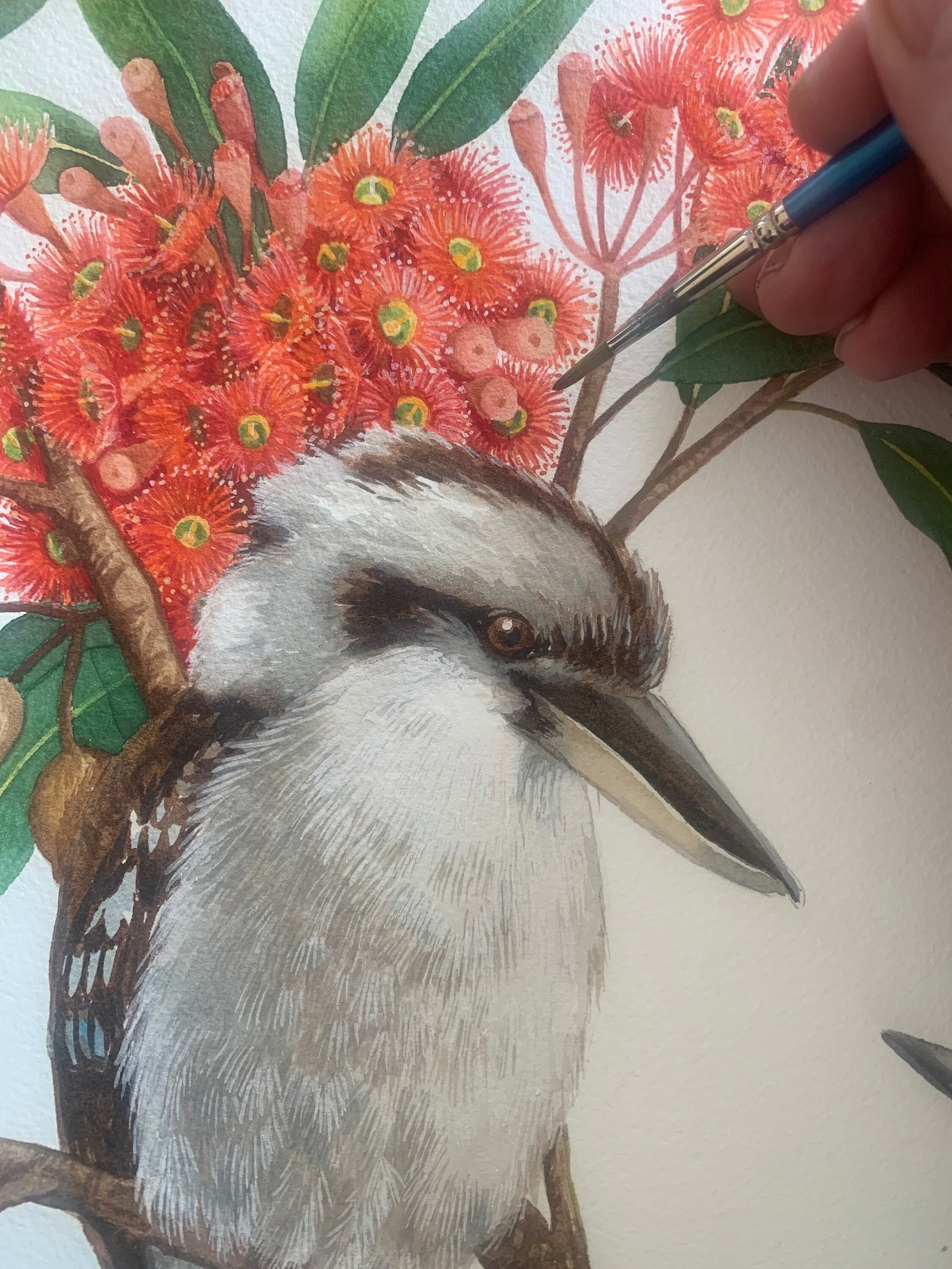 Kookaburra and Magpie Print by Debra Meier Art, Native Bird Print ...