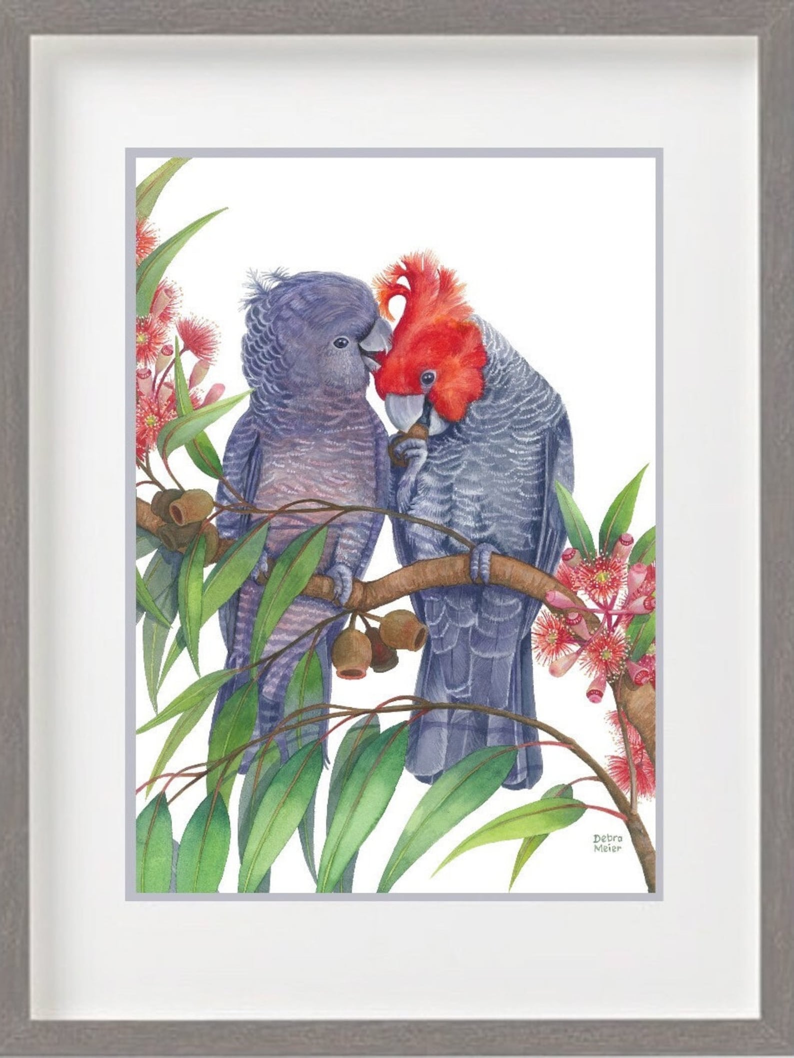 Cockatoo Gang Gang Pair by Debra Meier Art, Australian Native Bird ...