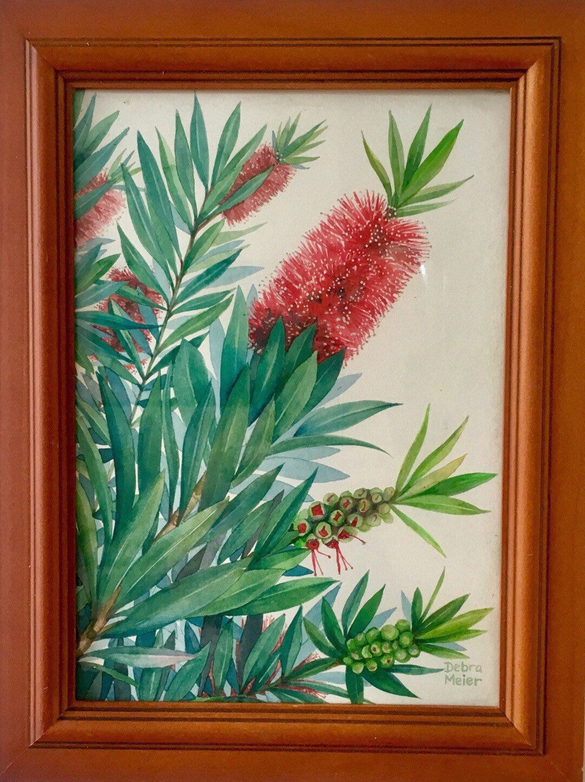 Bottlebrush Red Print by Debra Meier Art, Australian Native Art Print ...