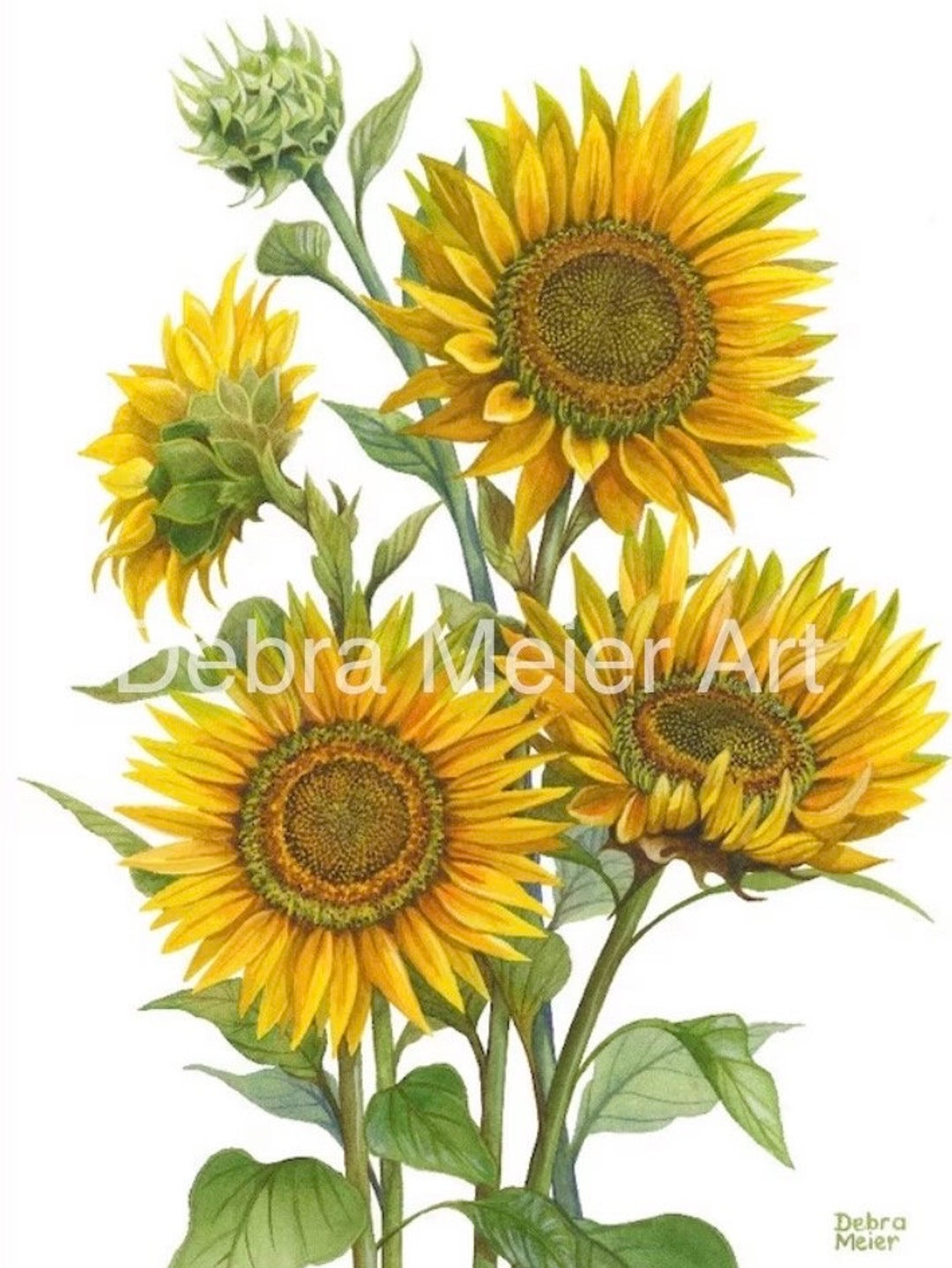 Sunflowers by Debra Meier Art, Flower Art, Sunflower Print, Flower ...