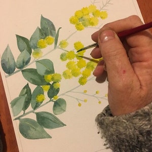 Australian Wattle Wattle Wall Art Australian Native Art - Etsy