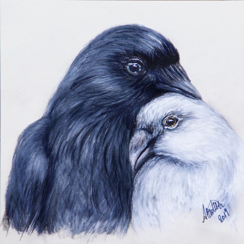 Raven and Dove Black and White Birds Peace Ebony and - Etsy