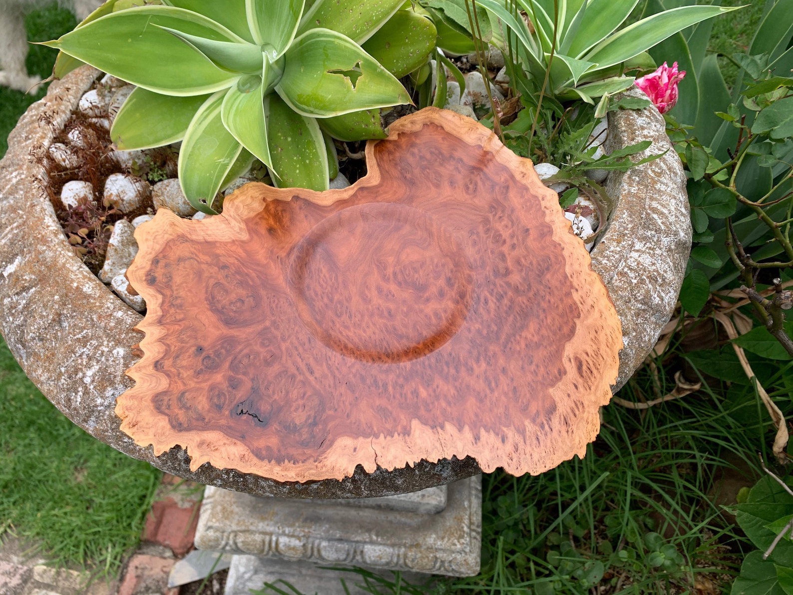 Small Platter, Red Mallee Burl, Australian Timber, Handmade, Unique ...