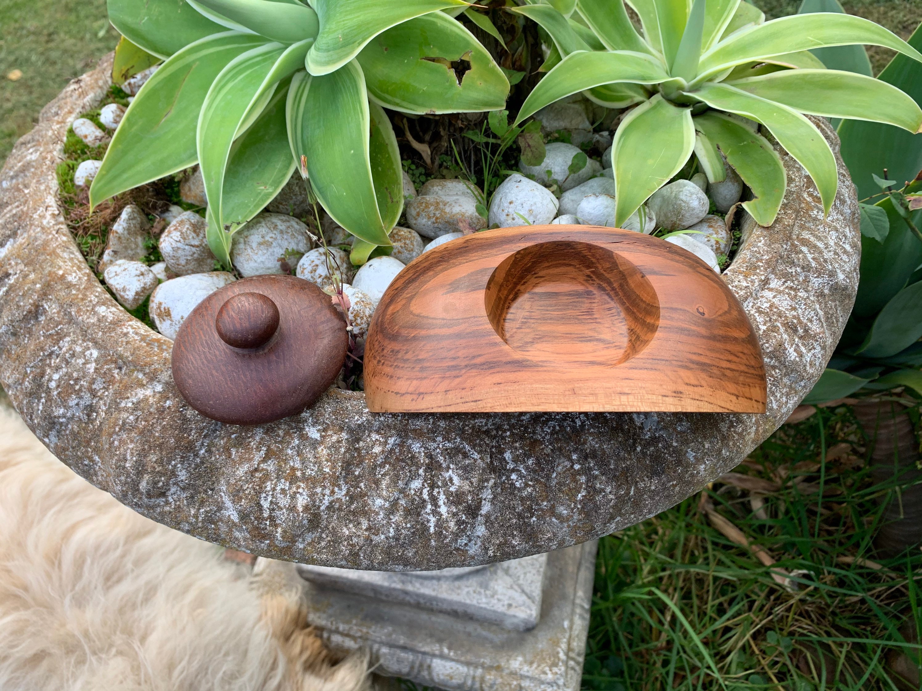 Angel Wings Timber Dish With Beautiful Grain Was 75.00 Now - Etsy