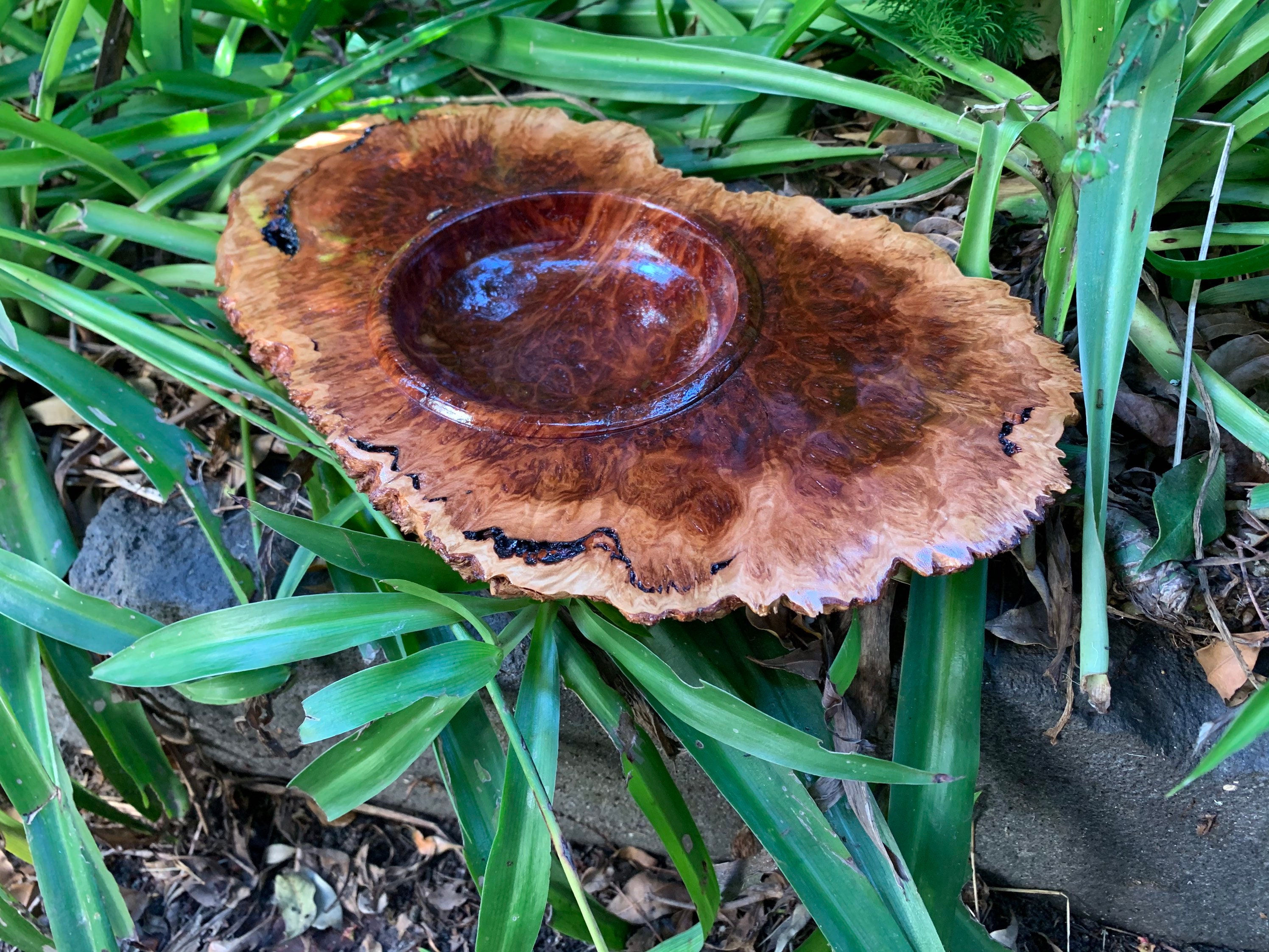 Winged Bowl, Red Mallee Burl, Australian Timber, Handmade, Amazing ...