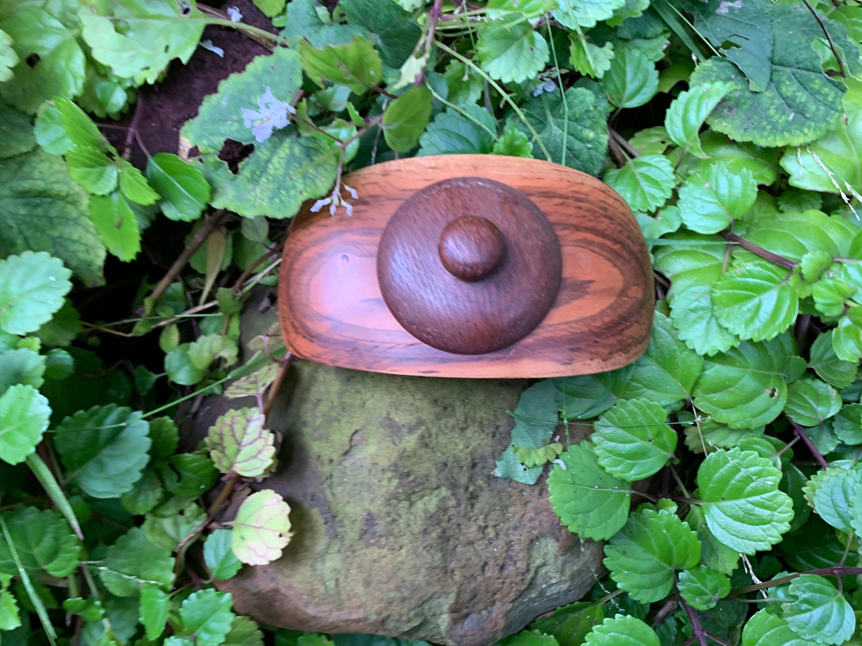 Angel Wings Timber Dish With Beautiful Grain Was 75.00 Now - Etsy