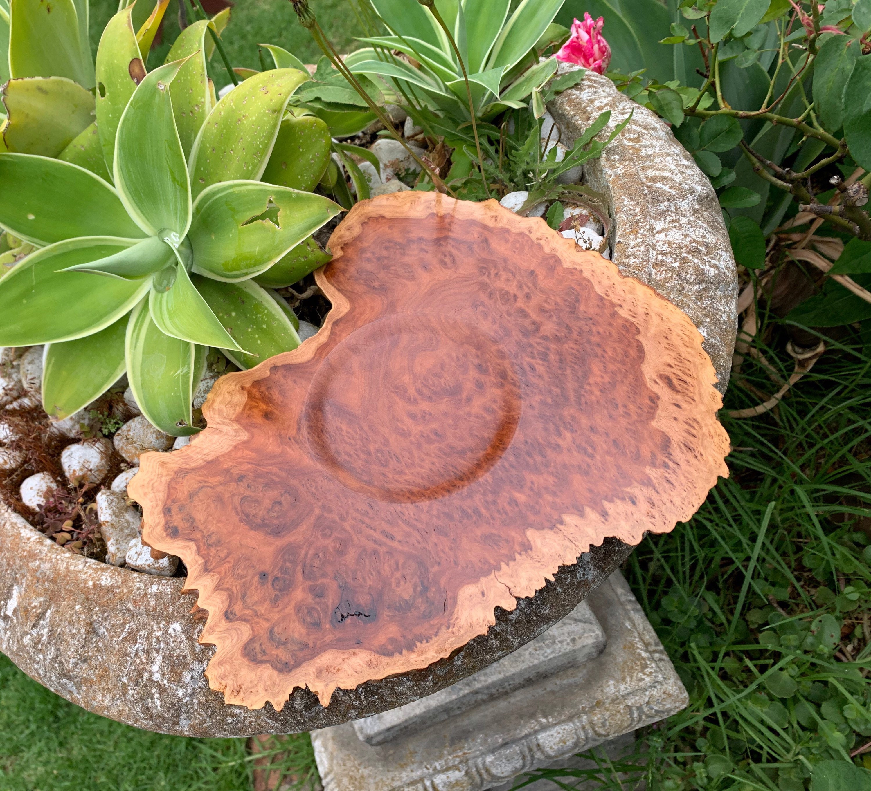 Small Platter, Red Mallee Burl, Australian Timber, Handmade, Unique ...