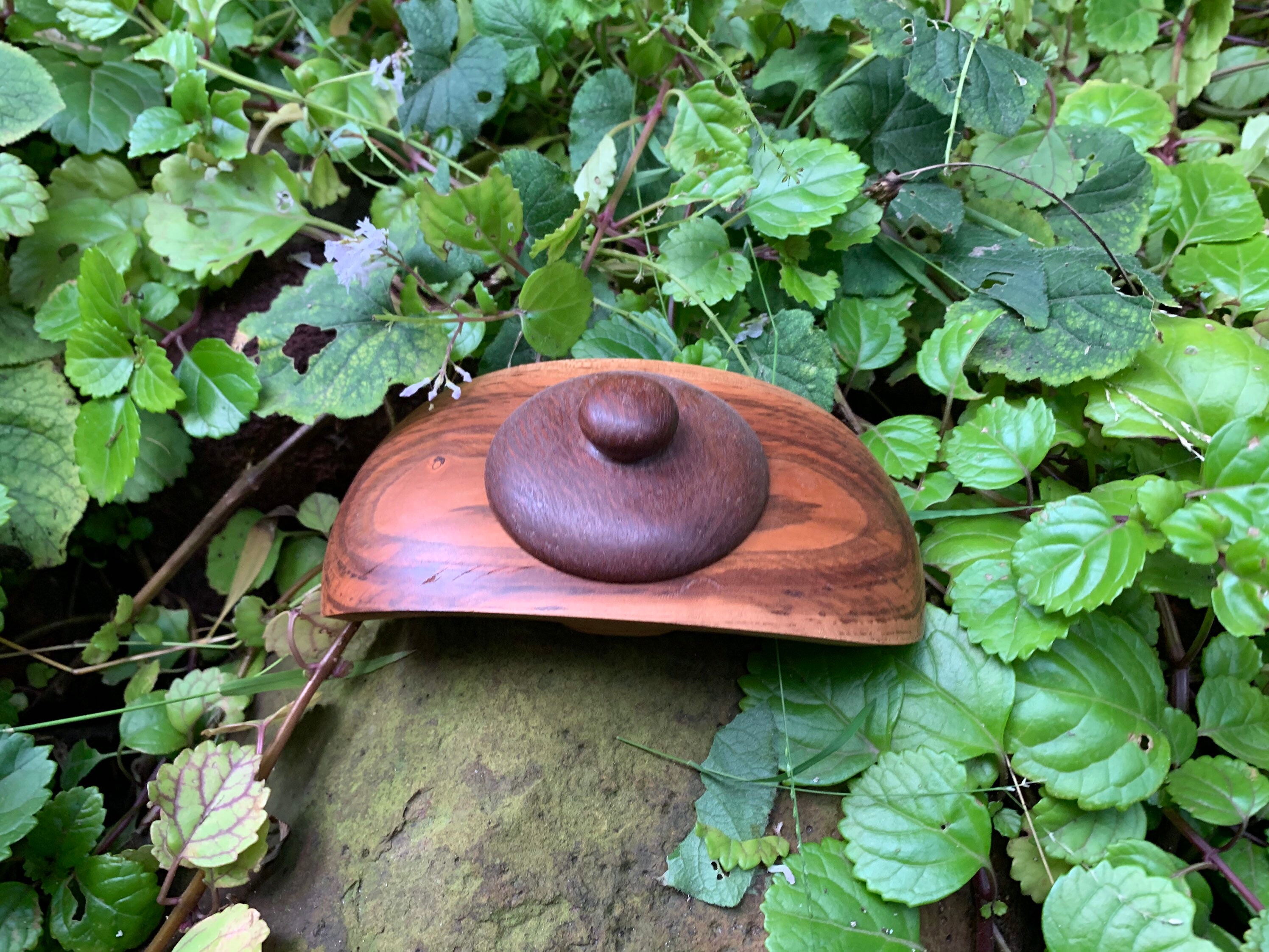 Angel Wings Timber Dish With Beautiful Grain Was 75.00 Now - Etsy
