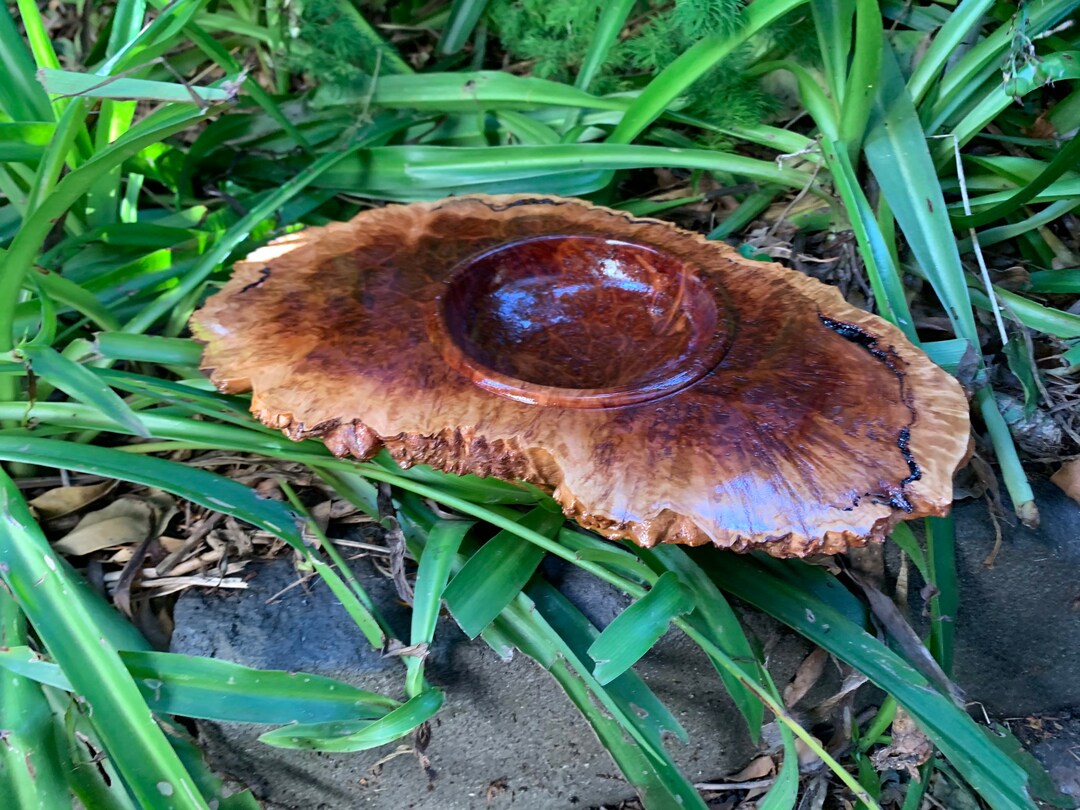 Winged Bowl, Red Mallee Burl, Australian Timber, Handmade, Amazing ...
