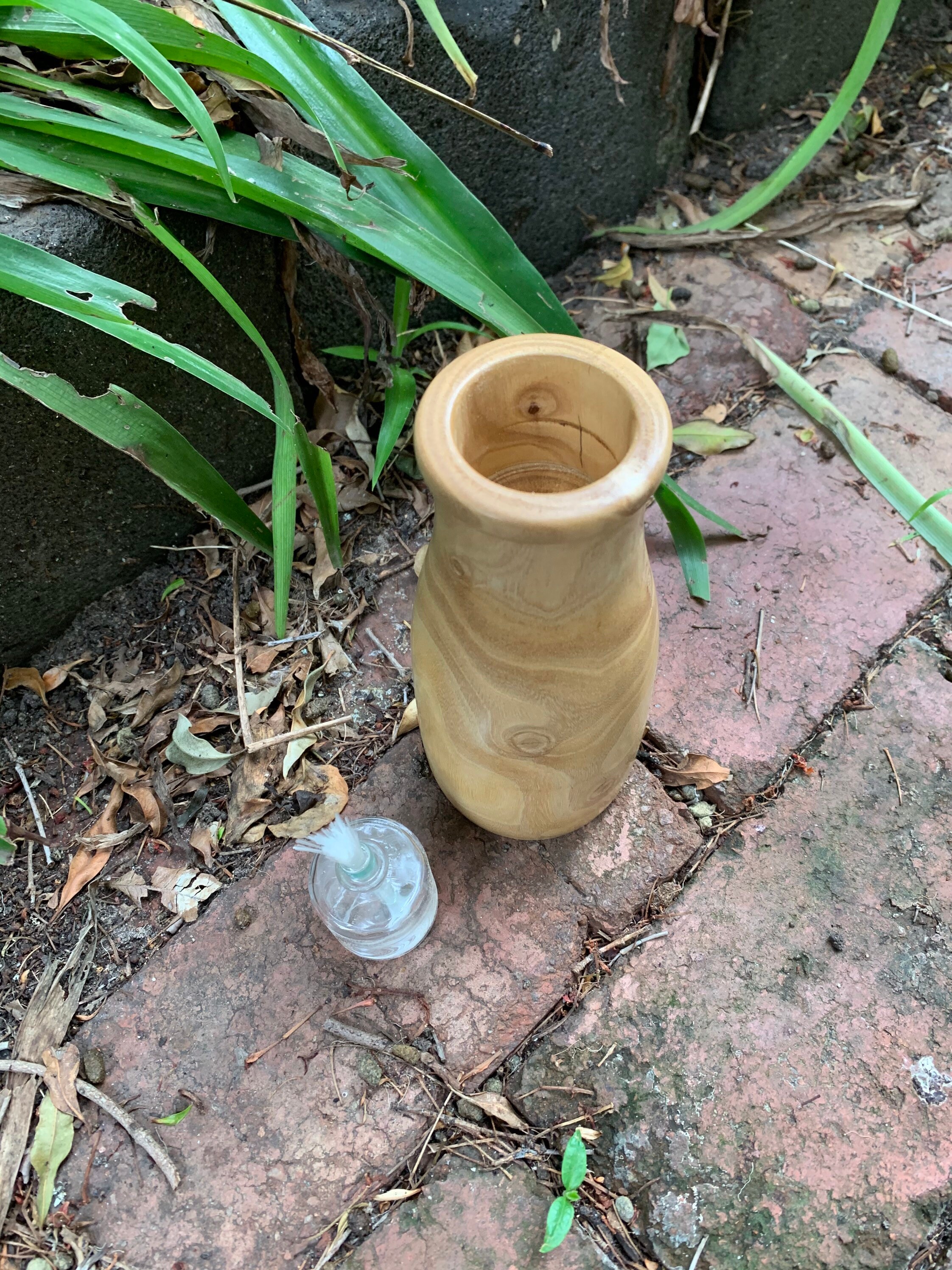 Oil Lamp Holder, Queensland Mountain Tree - Etsy