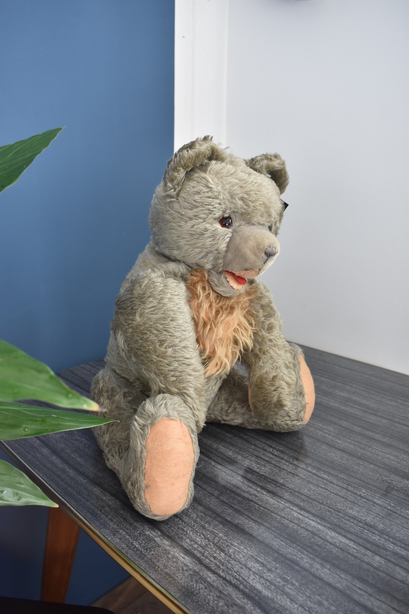 Vintage AUSTRIAN Teddy Bear by SAF / Antique Straw Stuffed Teddy Bear ...