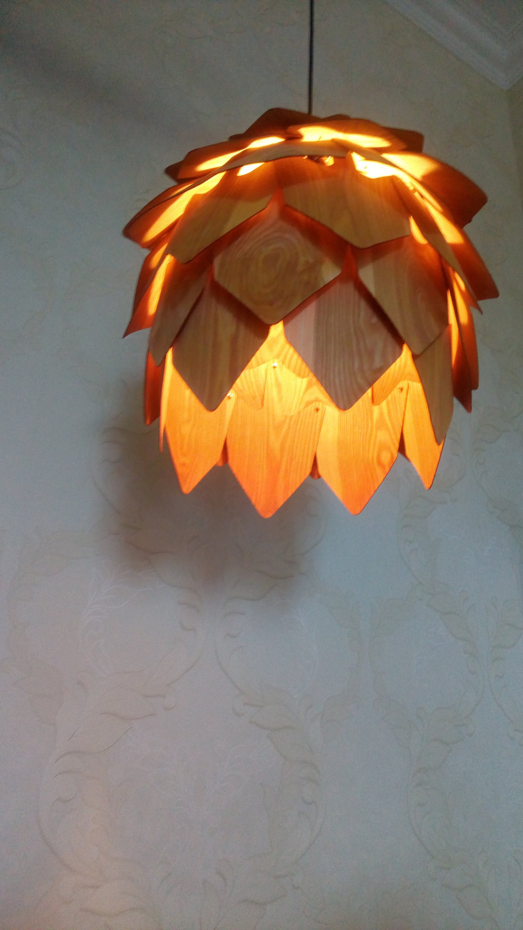 FAST SHIPPING / Wood Pendant Light /wood lampshade/pine cone | Etsy