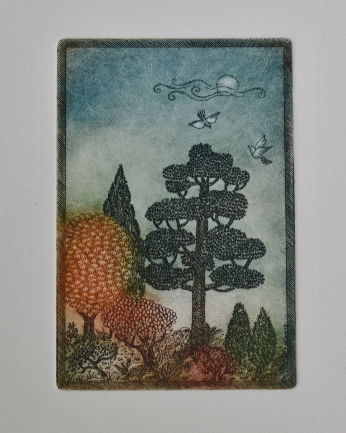 Pine Tree Original Etching Limited Edition Print Colour | Etsy