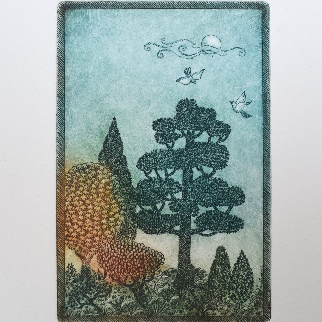 Pine Tree, Original Etching, Limited Edition Print, Colour Engraving ...