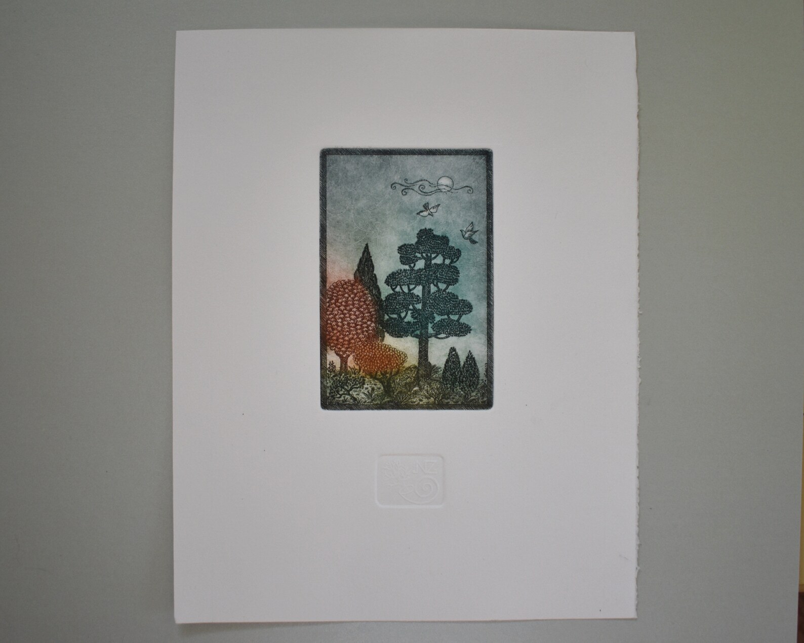 Pine Tree Original Etching Limited Edition Print Colour - Etsy