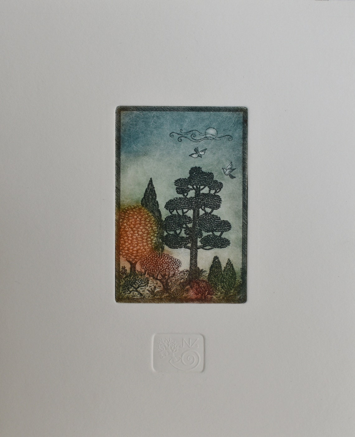 Pine Tree Original Etching Limited Edition Print Colour | Etsy