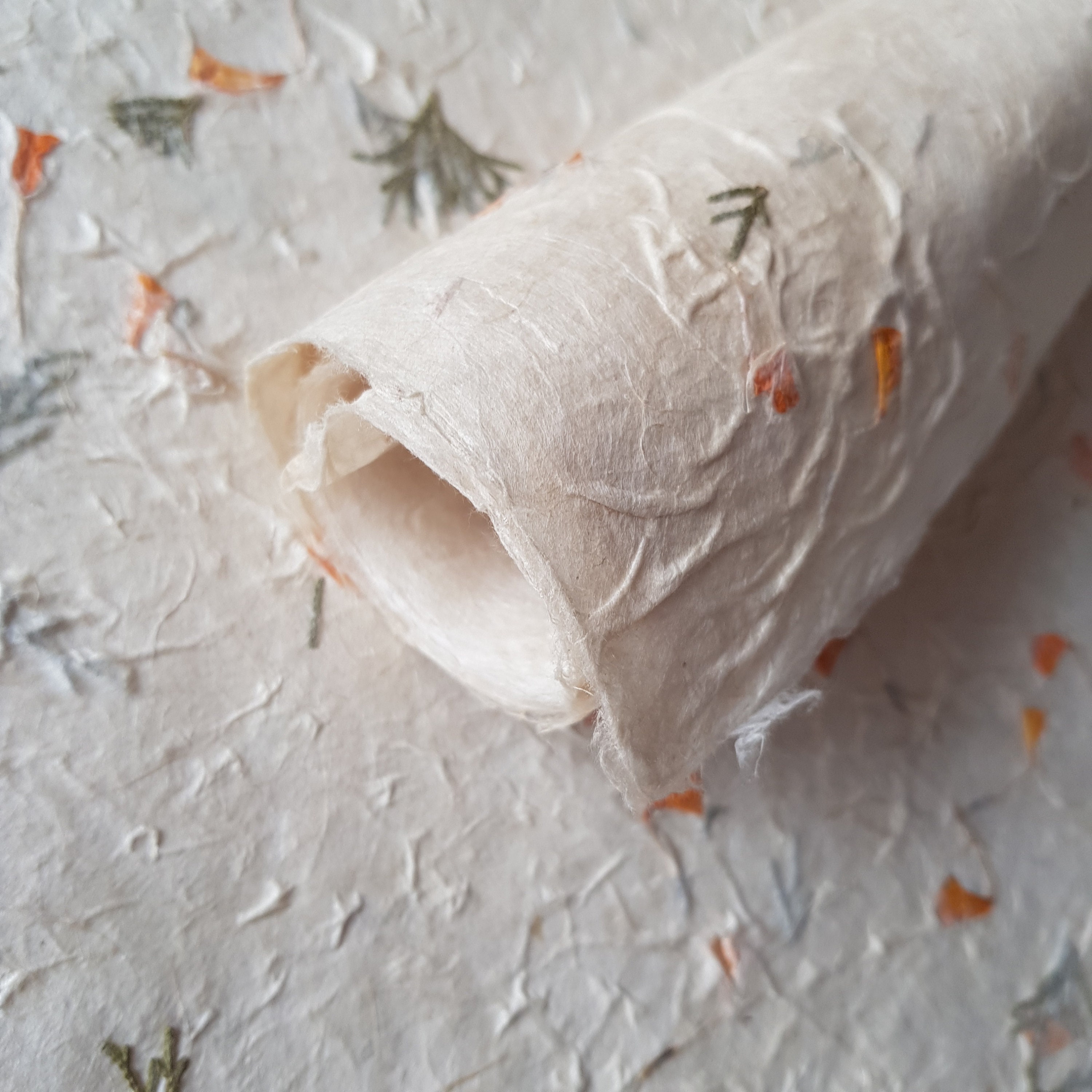 Papercraft Scrapbooking Marigold + Cypress Tree Free & Sustainable ...