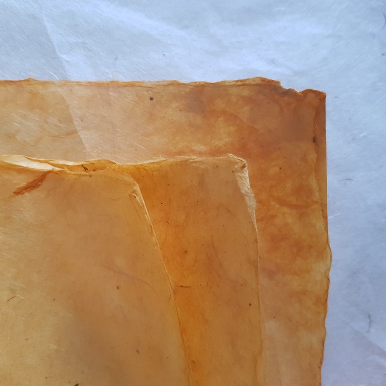 Decorative Lokta Paper Handmade in the Himalayas tree Free & - Etsy UK