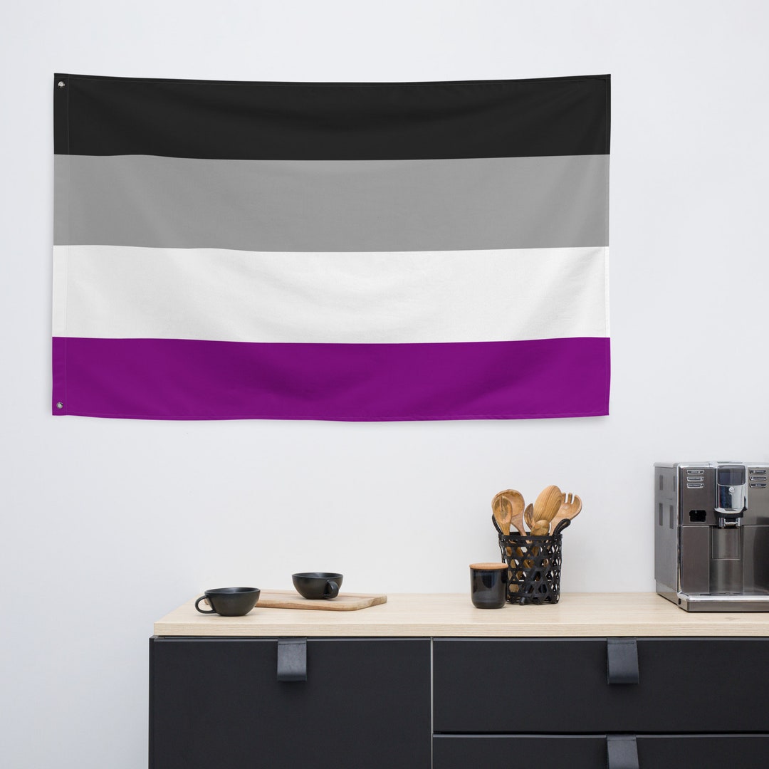 Asexual Pride Flag, Ace Pride Indoor or Outdoor Flag, Asexuality Coming Out Gift, Black Gray ...