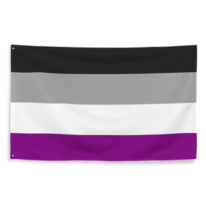 Asexual Pride Flag, Ace Pride Indoor or Outdoor Flag, Asexuality Coming ...