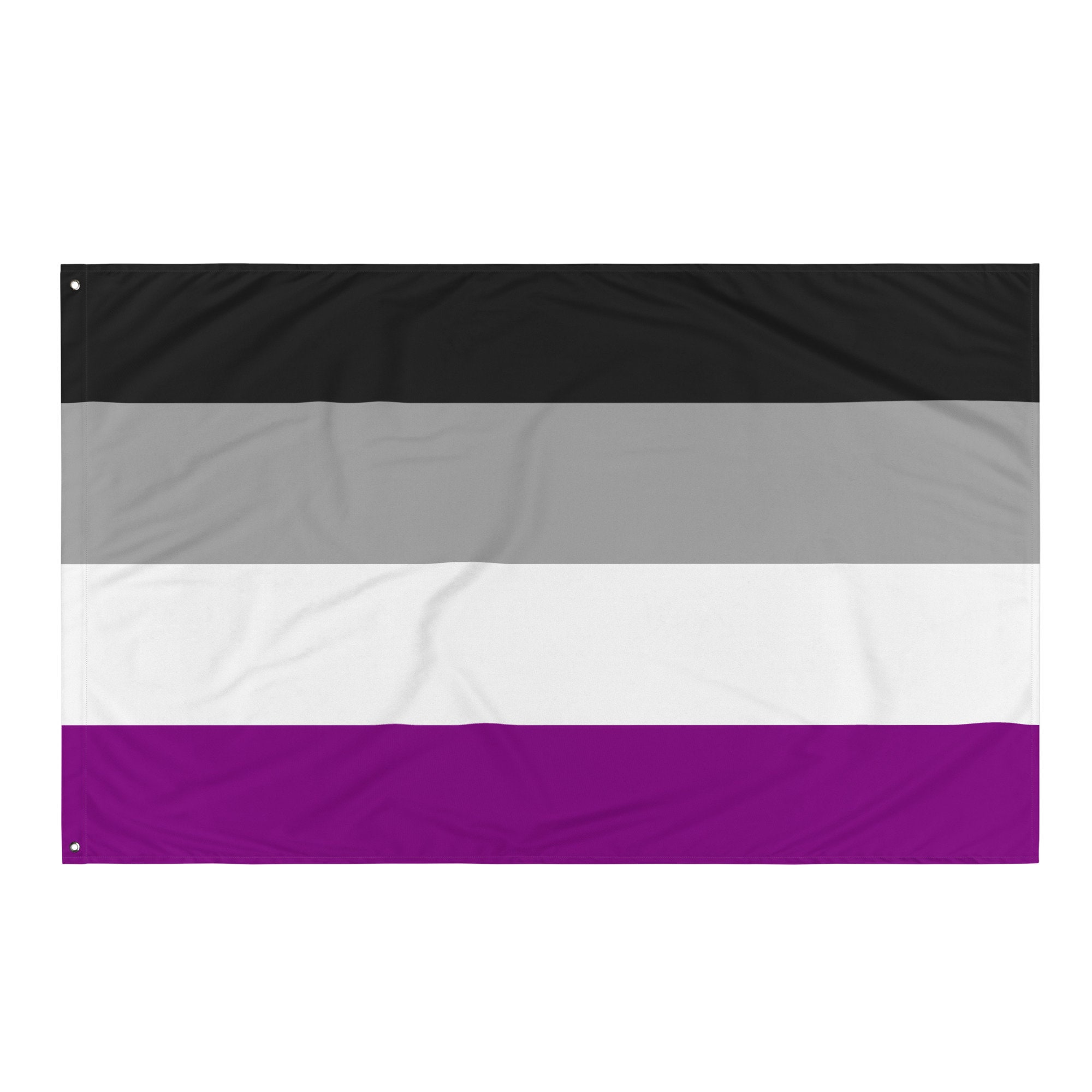 Asexual Pride Flag, Ace Pride Indoor or Outdoor Flag, Asexuality Coming ...