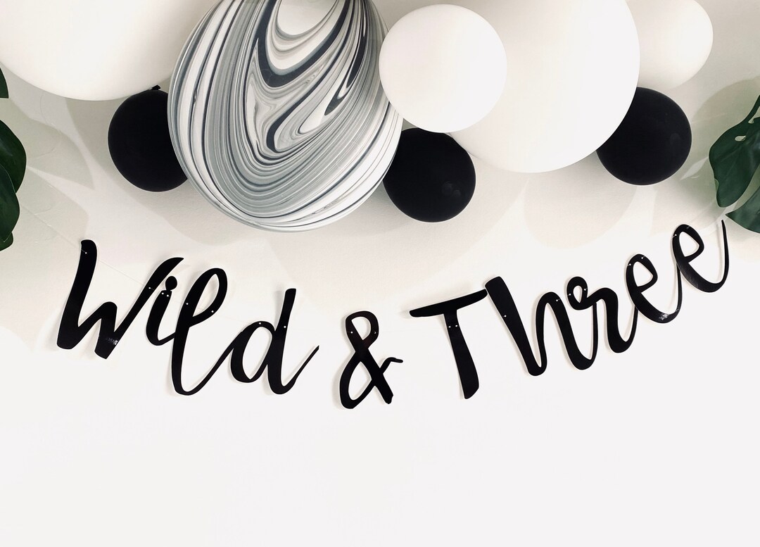 Wild & Three 3rd Birthday Banner - Etsy