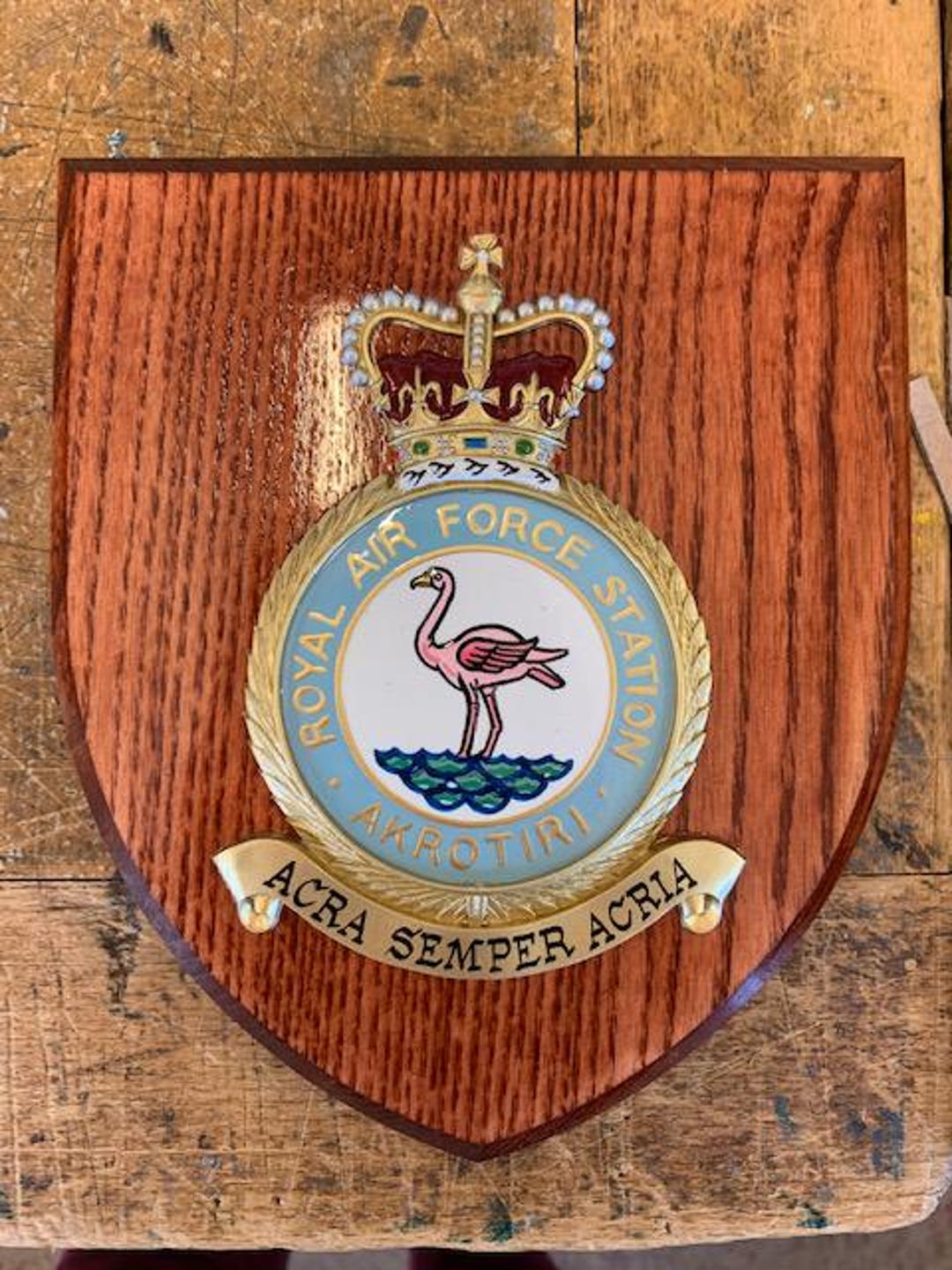 Royal Air Force RAF Plaques Shields QUEENS CROWN Hand Painted - Etsy UK