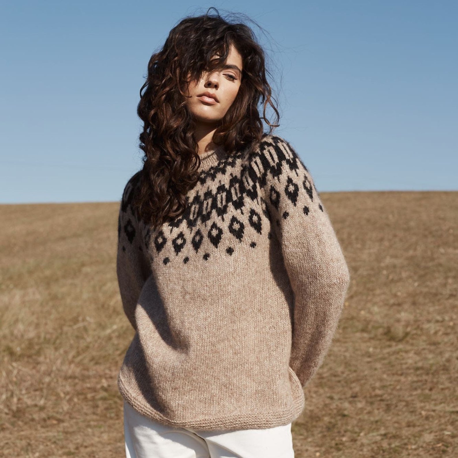 Light Beige Alpaca Women Lopapeysa Sweater. Lopapeysa Alpaca Sweater ...