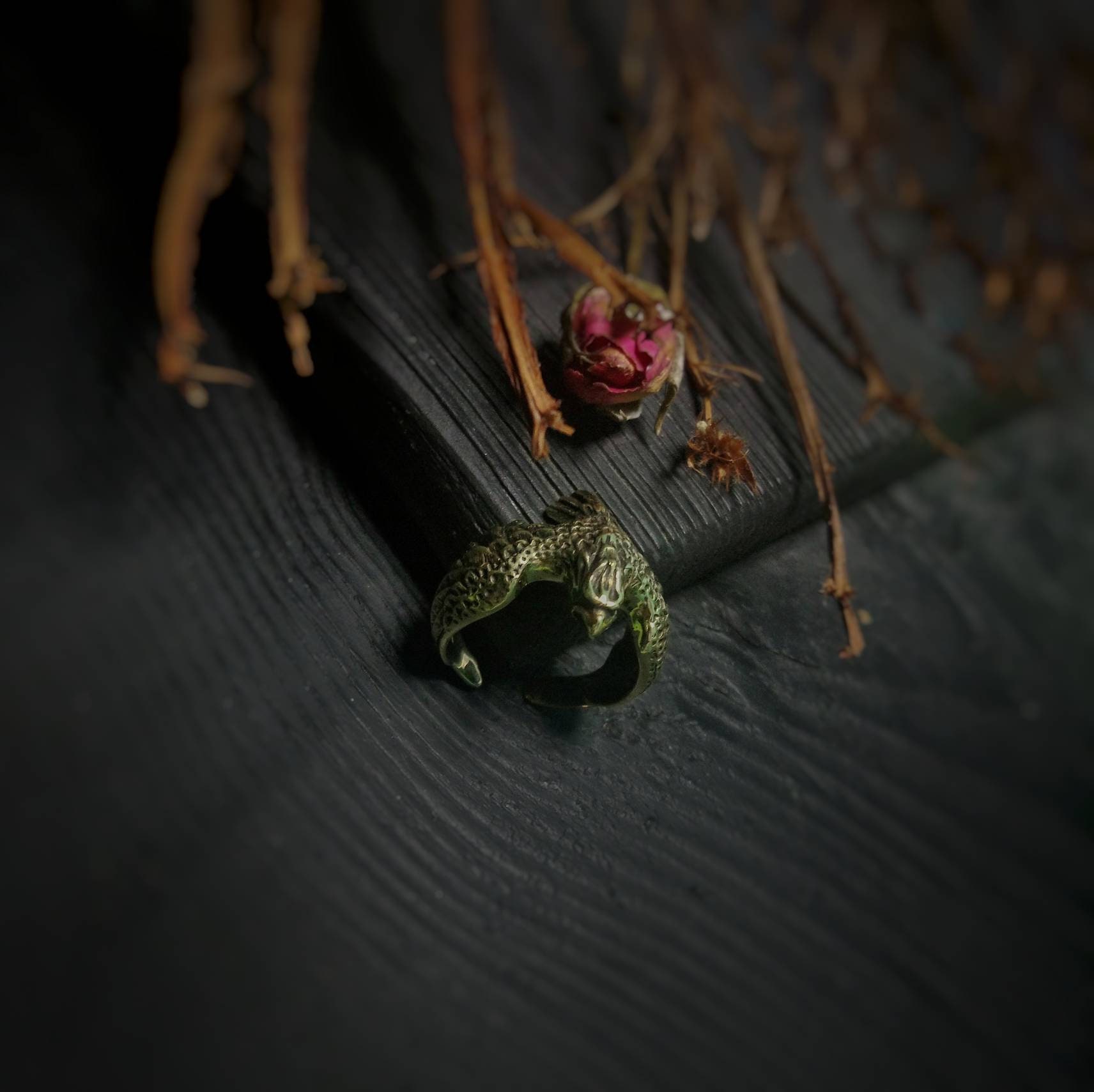 Odins Raven Ring Magic Occult Jewelry Brass Crow Ring 925 Sterling ...