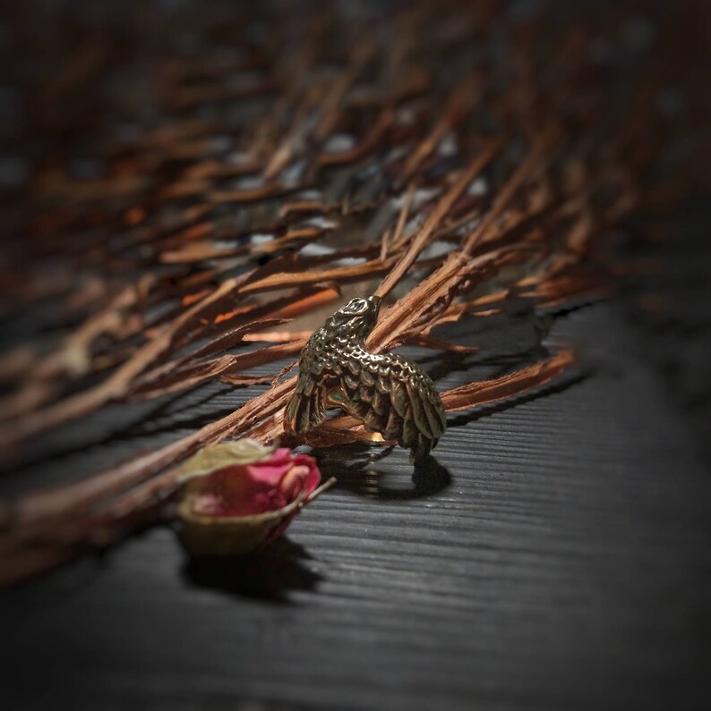 Odins Raven Ring Magic Occult Jewelry Brass Crow Ring 925 Sterling ...