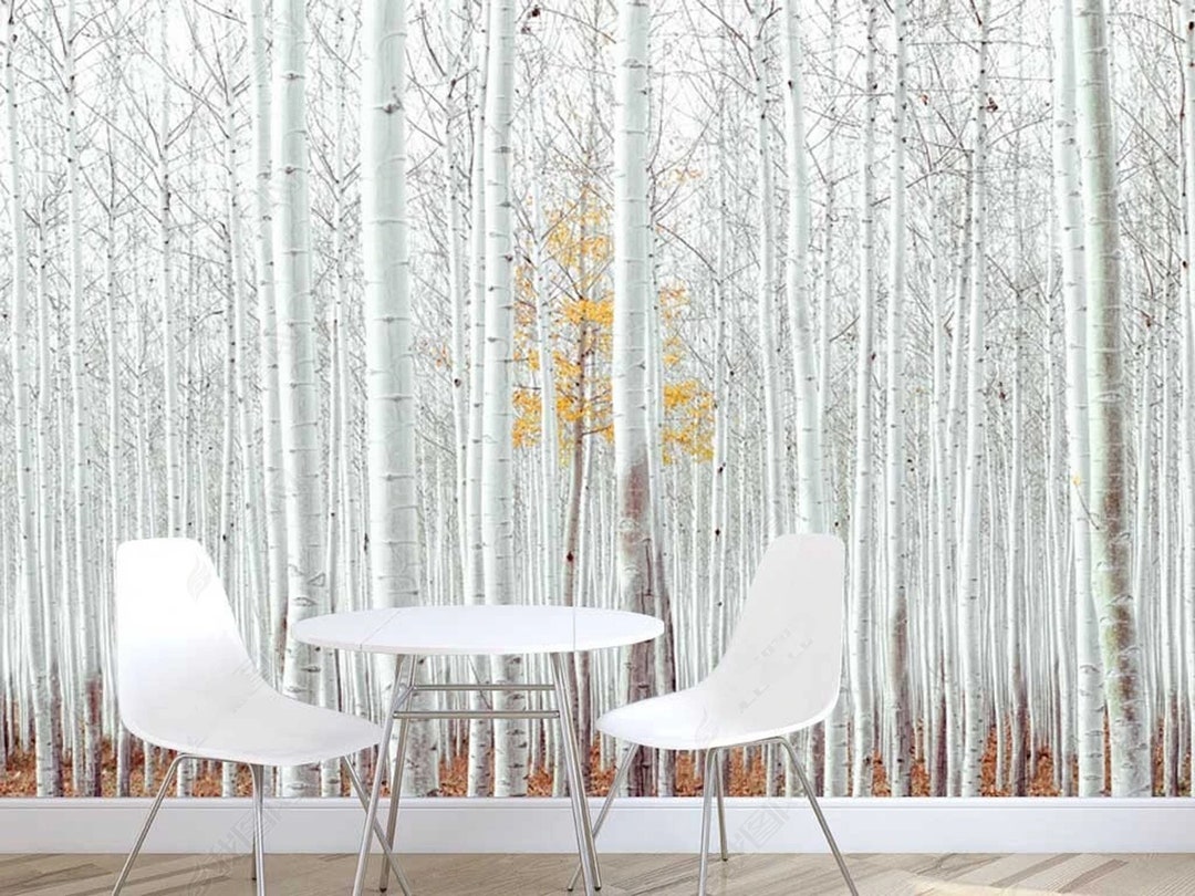 Birch Tree Forest Wallpaper, Mural Tree Wallpaper, Birch Forest Wall ...