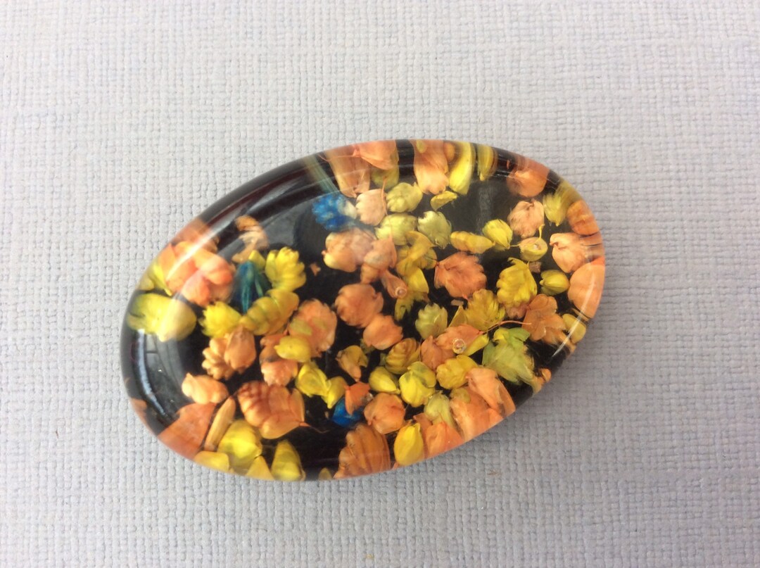 Vintage, Dried Plant, Lucite Brooch - Etsy