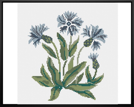 Cross Stitch Pattern Vintage Cornflower Embroidery Design PDF - Etsy