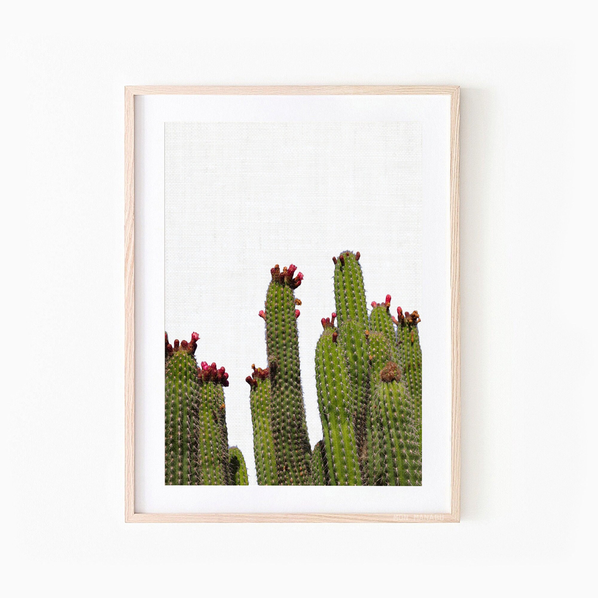 Cactus Print Cactus Wall Art Boho Chic Decor Nature Art - Etsy