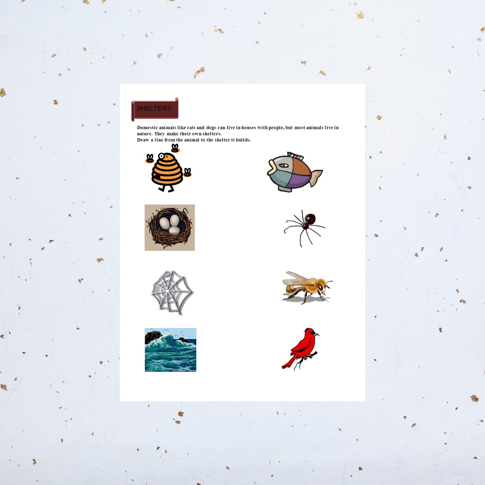 Living and Non-living Things - Science Workbook for Kindergarten ...