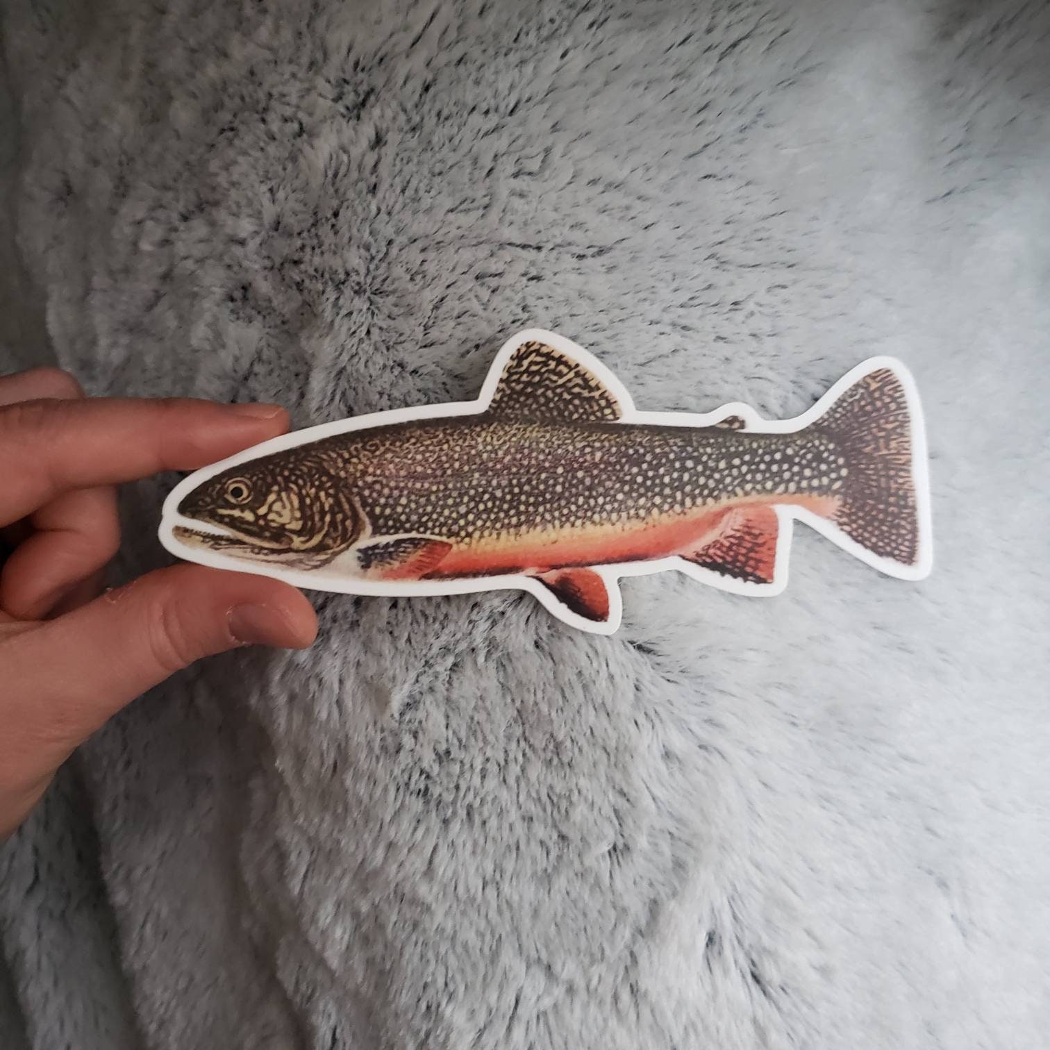 Brook Trout Sticker 1 - Etsy