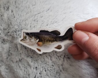 Mini Star Fish Sticker WATERPROOF - Etsy