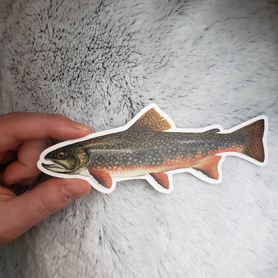 Brook Trout Sticker 2 - Etsy