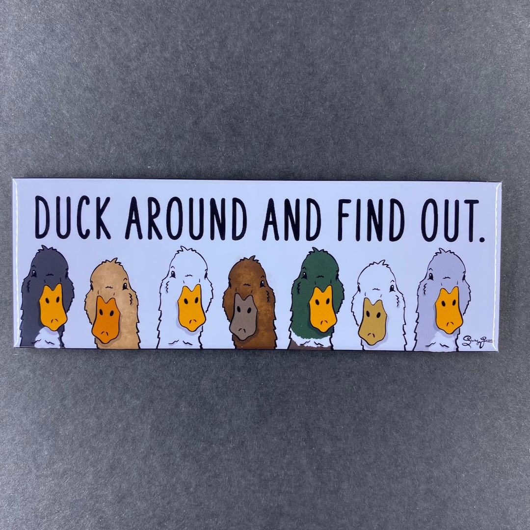 Funny Duck Magnet, Duck Around and Find Out Pet Portrait Art Gift ...