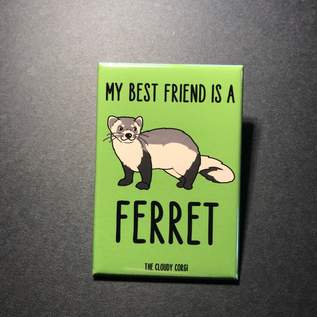 Ferret Magnet, Cartoon Pet Portrait Art Gift, Ferret Kitchen & Office ...