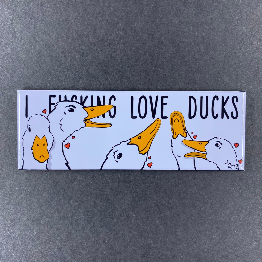 Funny Duck Magnet, I LOVE DUCKS Pet Portrait Art Gift, Retro Farmhouse ...