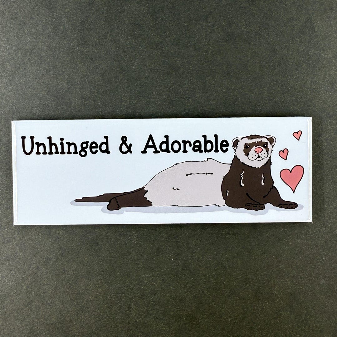 Funny Ferret Magnet, Unhinged & Adorable, Ferret Kitchen Decor 2x3 ...