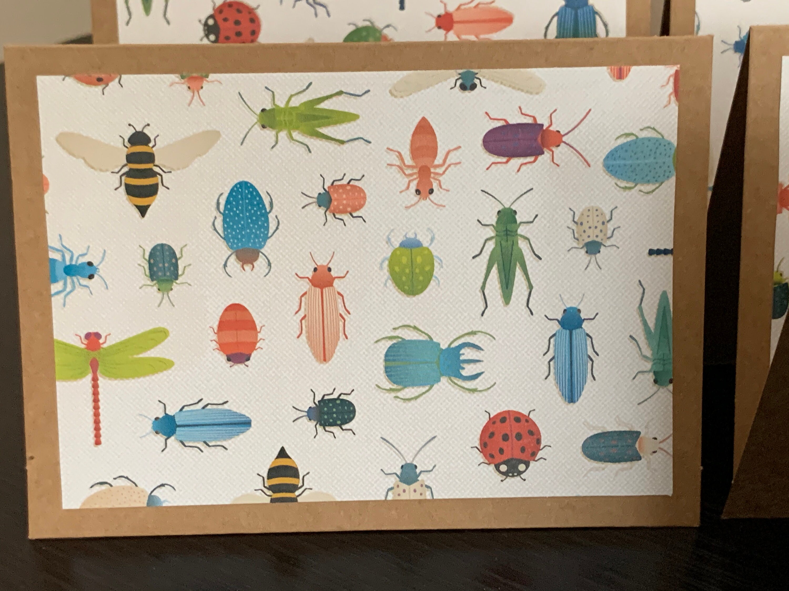 Insects Notecard Set of 6 Kraft Notecards with Matching - Etsy.de