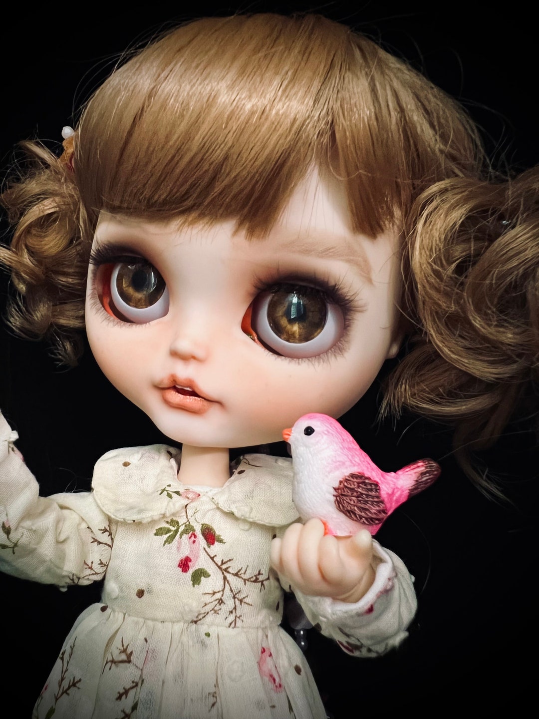 Chubby Body Blythe, Meg Custom OOAK Doll Bundle - Etsy UK